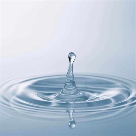 Fractionated Coconut Oil Fizzywhiz