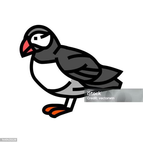 대서양 퍼핀 조류 이국적인 색 아이콘 벡터 일러스트 레이 션 귀여운에 대한 스톡 벡터 아트 및 기타 이미지 귀여운 깃털