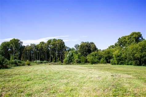 Premium Photo Plot With A Lawn In The Forest Plot Prepared For Sale Building A House In Nature Premium Photo Plot With A Lawn In The Forest Plot Prepared For Sale Building A House In Nature