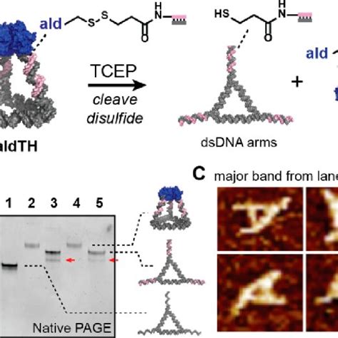 Combined Techniques For Small Molecule Detection A Combination Of