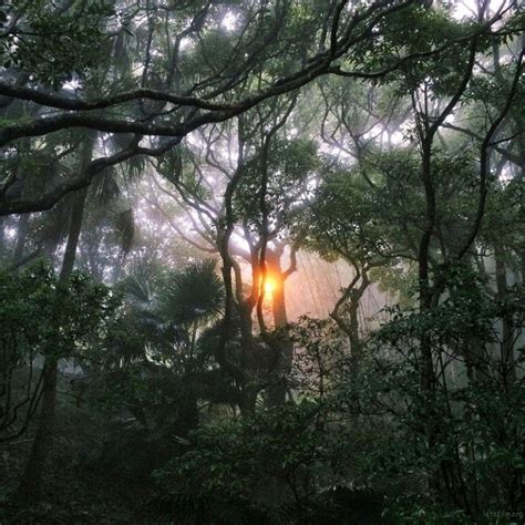 法新社攝影師 Alex Ogle 鏡頭下的香港 Fliper 生活藝文誌