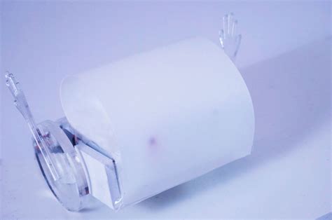 An Altruistic Autonomous Car Oliviayangcargo