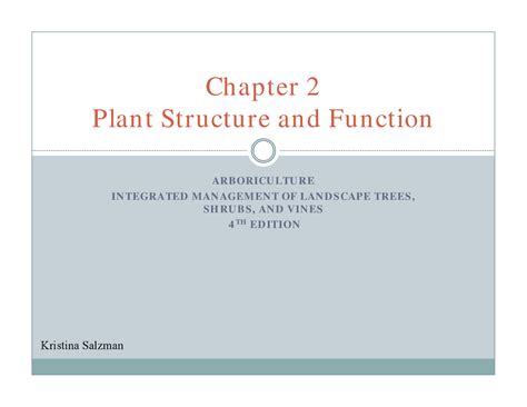 Chapter 2 Plant Structure And Function Summaries Anatomy Docsity