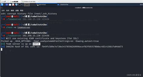 【内网安全】——cs操作指南（一） cs使用教程 csdn博客