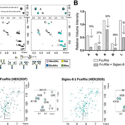 3d Structure Of Siglec 8 In Complex With 2c4 Fab A Crystal Structure Download Scientific