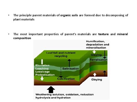 SOIL ORIGIN AND NATURE FORMATION OF SOILS Soil