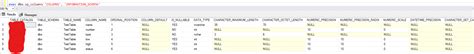 Sql Server How Do I Get Something Like The Information Schema Columns Metadata View Of The