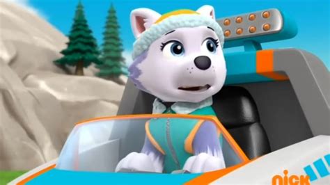 سگ‌های نگهبان نجات ترایسی باستانی جعبه