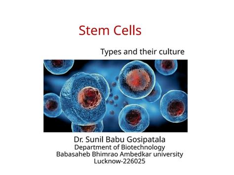 Stem Cell Culture 3 Pptx Pptx