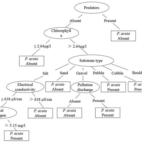 classification tree model predicting the presence or absence of