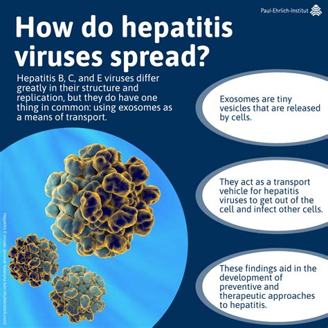 Hepatitis Causes