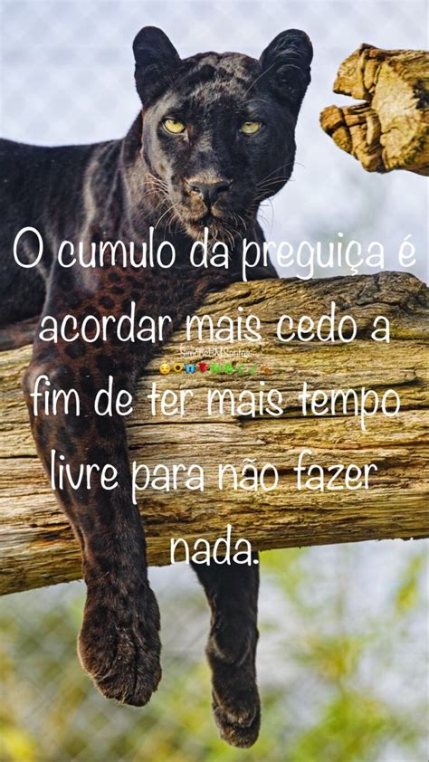 Pin De Edine Em Frases De Leão Frases De Leão Arte Da áfrica Mensagens De Bom Dia