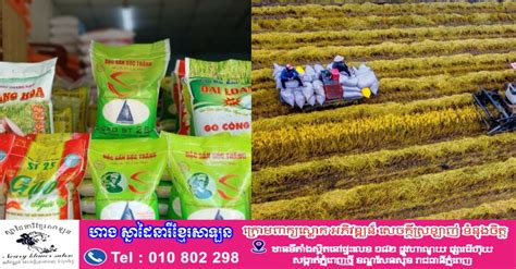 តម្លៃអង្ករថៃបានធ្លាក់ចុះដល់កម្រិតទាបបំផុតក្នុងរយៈពេលជាងមួយឆ្នាំ សារព័ត៌មាន នគរវត្ត