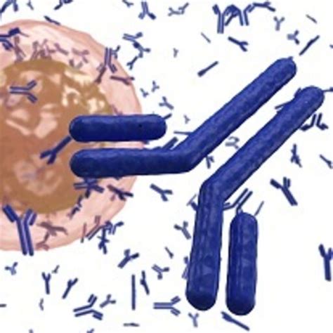 Mary Yazdani Sales Professional Master Of Science Research Profile