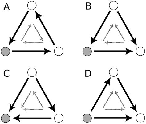 Clustering Coefficients In A Directed Network Following The Download Scientific Diagram