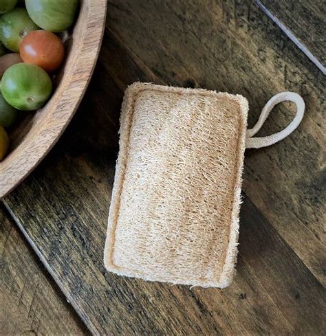 Plastic Loofah Vs Natural Loofah Use Natural Loofah To Be Better At Life