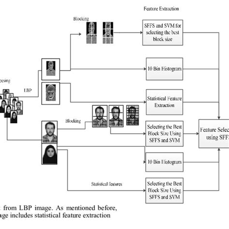 Proposed Gender Recognition System And Lbp Feature Extraction And 10 Download Scientific
