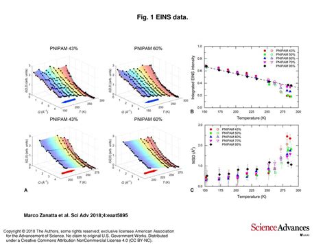 Evidence Of A Low Temperature Dynamical Transition In Concentrated Microgels By Marco Zanatta
