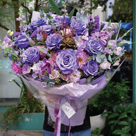 Aurora S Kiss Ti M Hoa La Vie Est Belle