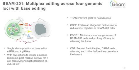 Classical Beam Theory The Best Picture Of Beam