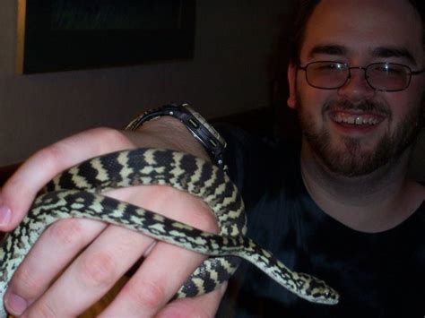 Jag Python — Weasyl