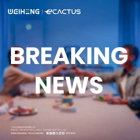 Weiheng Ecactus Agave Bess Energy Storage Power Battery Home… Ecactus