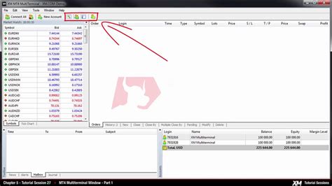 freeforex signals com mt4 tutorials mt4 multiterminal window basics