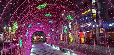 이해인 수녀님의 12월의 시 [아름다운 시] [겨울의 시] [좋은 시] 네이버 블로그