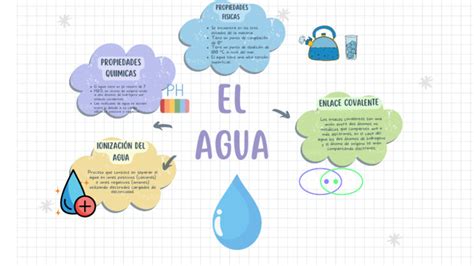 Mapa Mental Del Agua Pdf