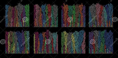 Cellular Automaton Diffusion Limited Aggregation Structures Set Stock Illustration