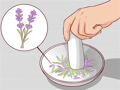 3 Ways To Make Mosquito Repellent Wikihow