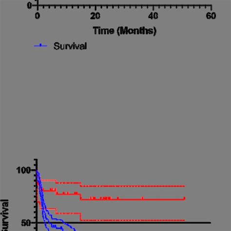 Survival Curve Of Ahmed Valve Implantation In Patients With Neovascular Download Scientific