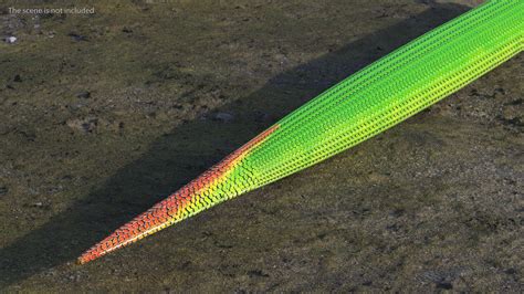 Viper Green Trimeresurus Rigged For Maya 3d Model 99 Ma Free3d