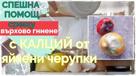 Срещу върхово гниене водоразтворим калций за доматите бързо и ефективно с яйчени черупки