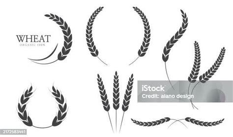 밀 귀 또는 쌀 아이콘입니다 벼 밀 월계관 아이콘입니다 상 수상자 업적 상징을 묘사합니다 벡터 일러스트 레이 션 1위에 대한 스톡 벡터 아트 및 기타 이미지 Istock