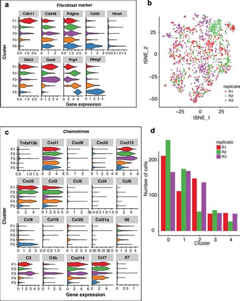 Differential Gene Expression In Specific Fibroblast Clusters A A Set