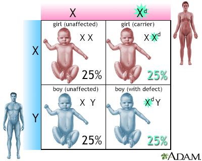 Recessive Trait Definition Lesson 2