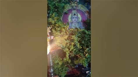 Sami Saranam💚 Youtube