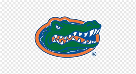 University Of Florida Florida Gators Football Florida Gators Mens