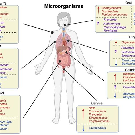 Additional Benefits Of Using Metatranscriptomics To Study A Microbial