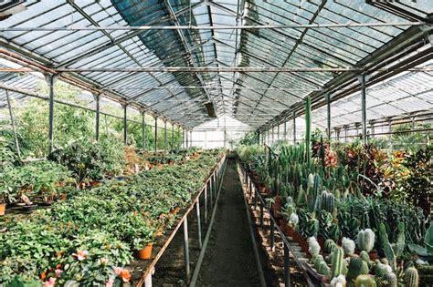 Free Photo Various Plants Growing In Greenhouse