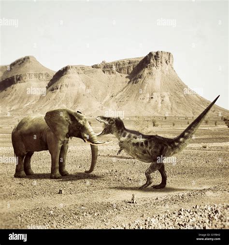 Dinosaur Size Comparison To Elephant