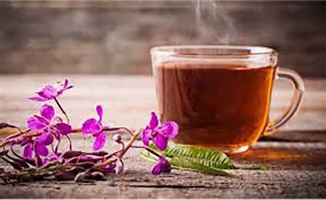 Ivan čaj Elixír života Našich Předků