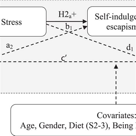 The Theoretical Model Dashed Lines Represent Nonhypothesized Effects