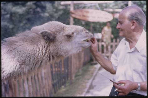 The Palestinian Museum Digital Archive أرشيف المتحف الفلسطيني الرقمي