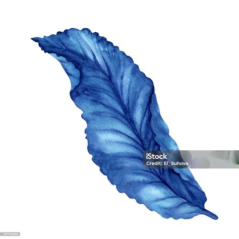 초대장 패턴 직물 배경 화면 스티커에 대한 추상 파란색 판타지 꽃의 손으로 그린 수채화 그림 요소는 흰색 배경에 격리되어 있습니다 그래픽 프린트에 대한 스톡 벡터 아트 및