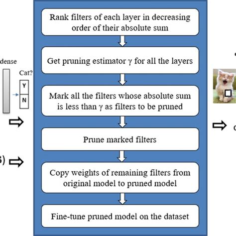 proposed filter pruning and fine tuning framework download scientific