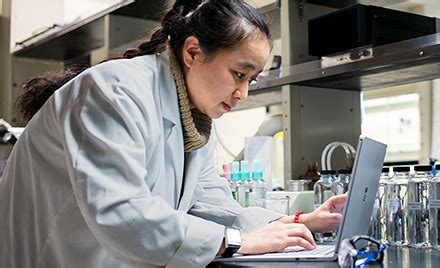 Planilha Excel VBA Shapes Linkar Imagem A Uma Tabela Vba Macros