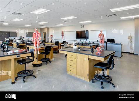 Anatomy High School Class