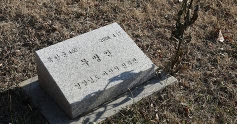 북한군 묘지에 놓인 꽃